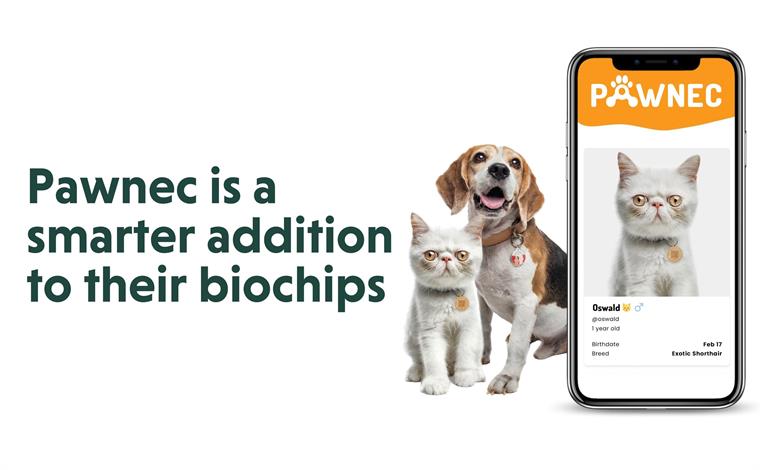 Dog Collar - Dog Collar with QR Code and NFC - Cat Collar with QR Code ...